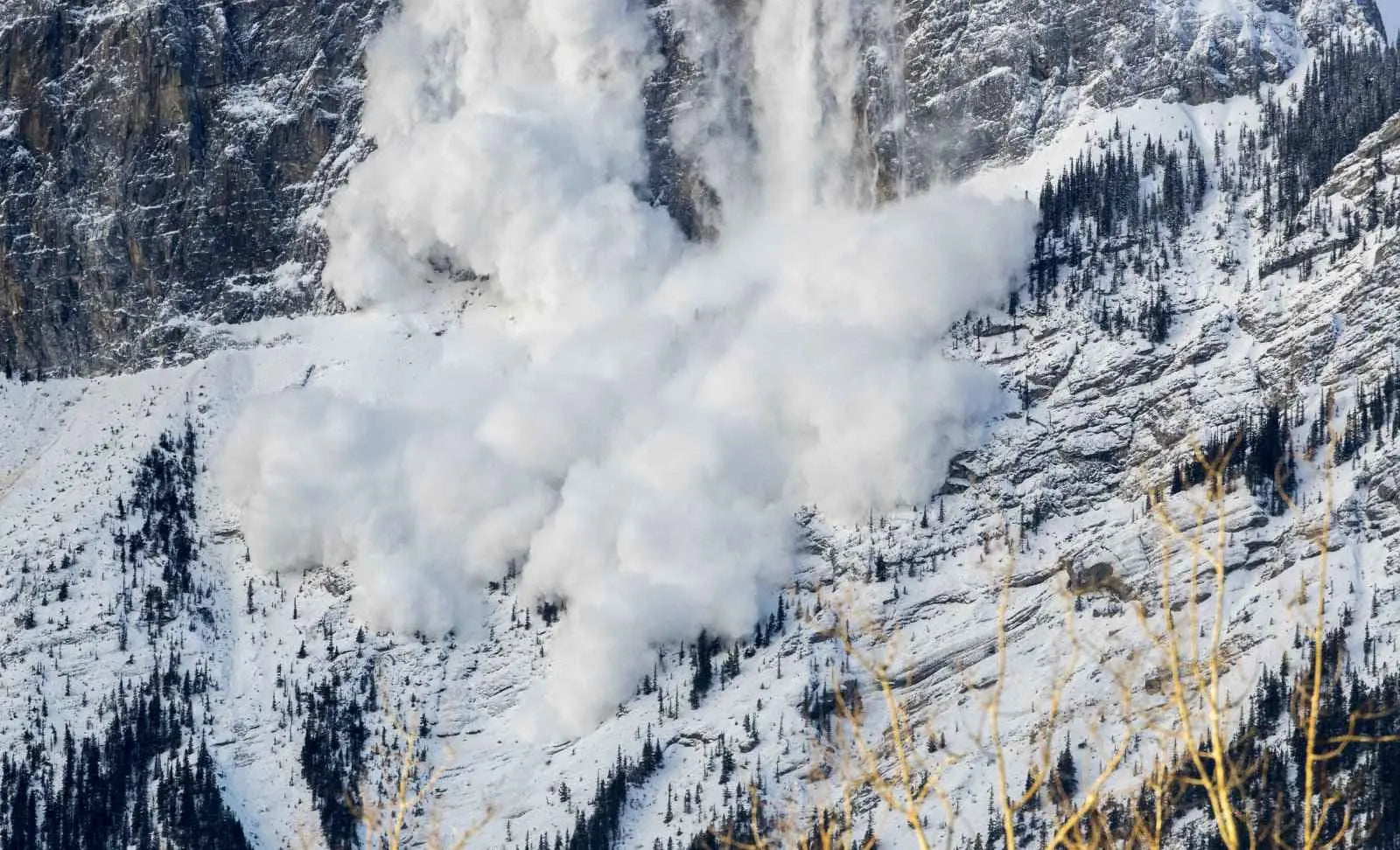 Avalanche Safety Course: Your Guide to Safe Winter Adventures – MCTi